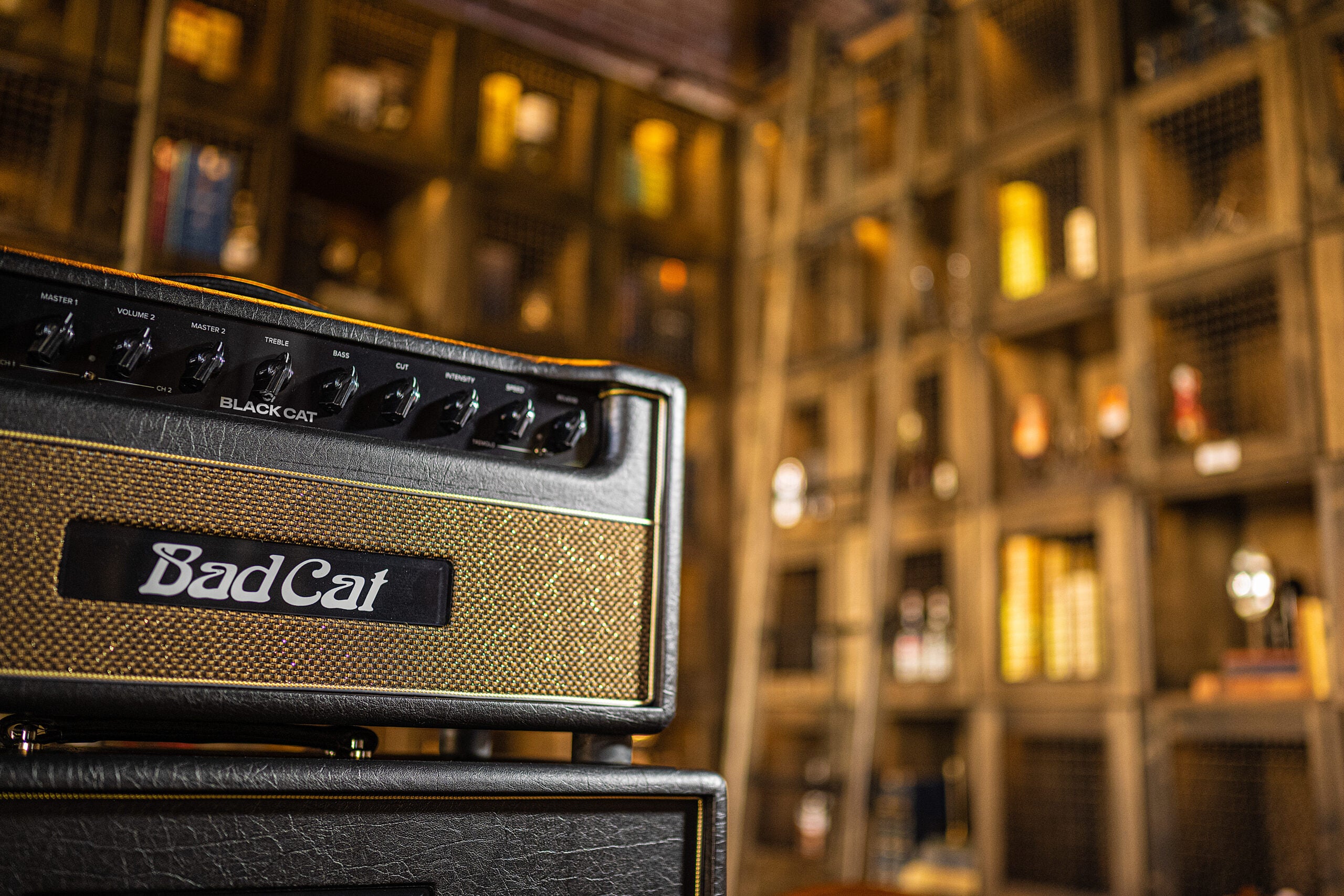 Bad Cat Amplifiers Black Cat Head 20W 2 Channel Amp Direct Ship ...